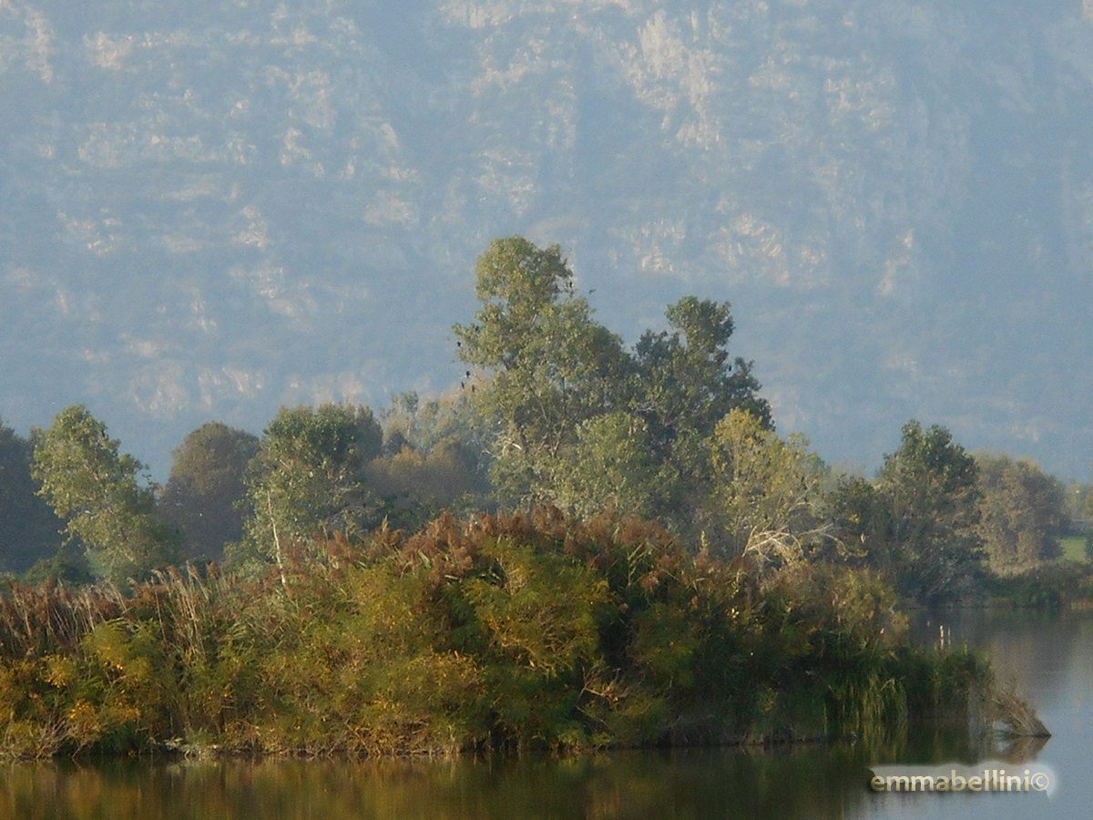Riserva Naturale Torbiere del Sebinonotizie anno 2020 - Parchi Bresciani