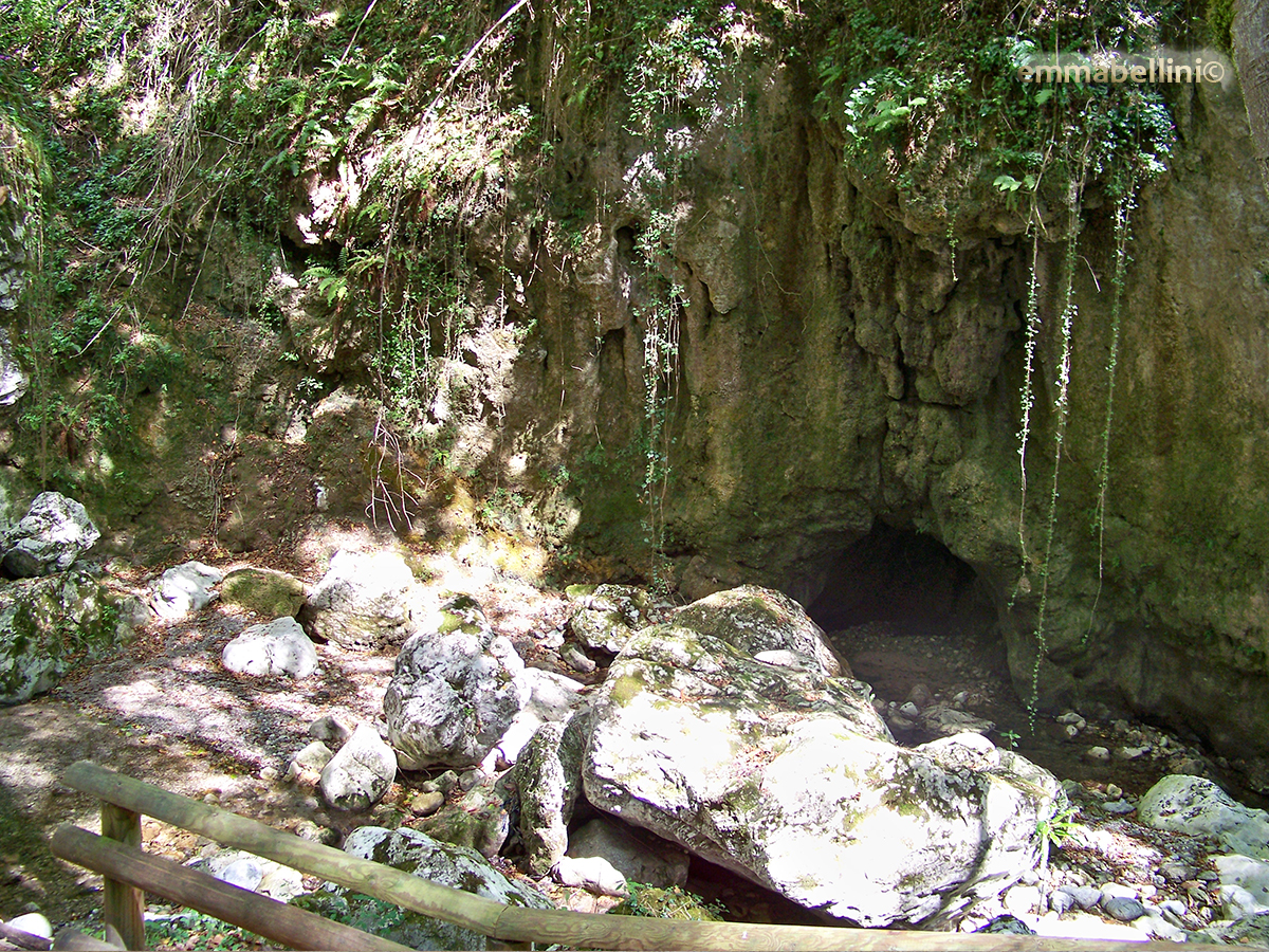 Riserva Regionale Sorgente Funtanì:notizie anno 2020 - Parchi Bresciani